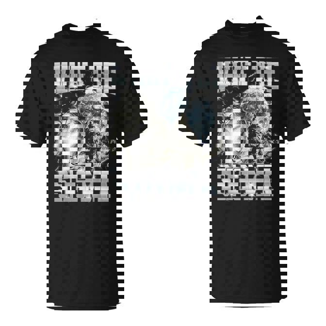 Erm What The Sigma Cat Meme T-Shirt | Mazezy