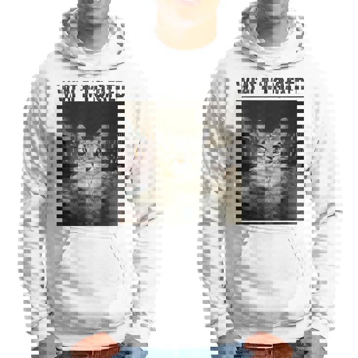 Wait I'm Goated T Silly Meme Cat Hoodie | Mazezy