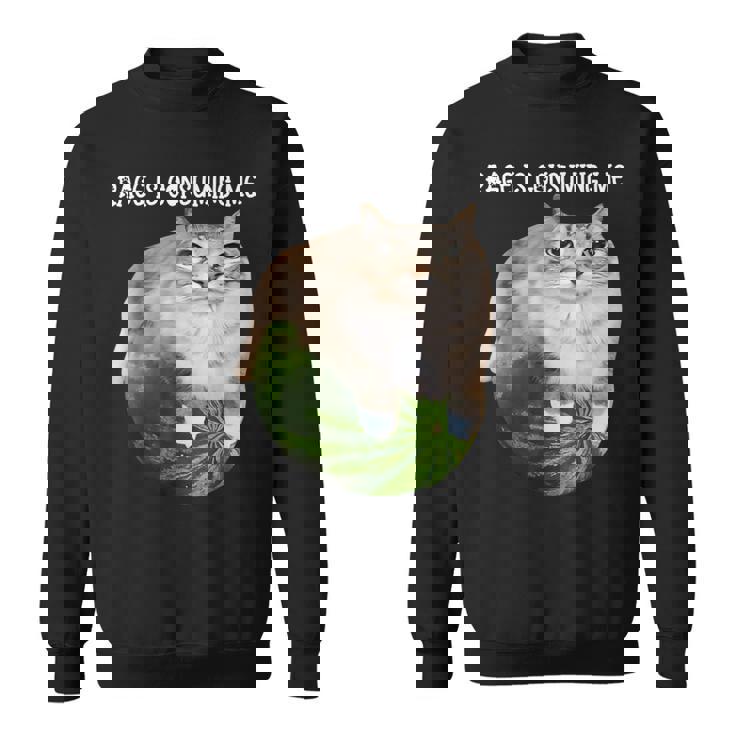 Rage Is Consuming Me Meme Cat Meme Oddly Specific Memes Joke Men's T ...