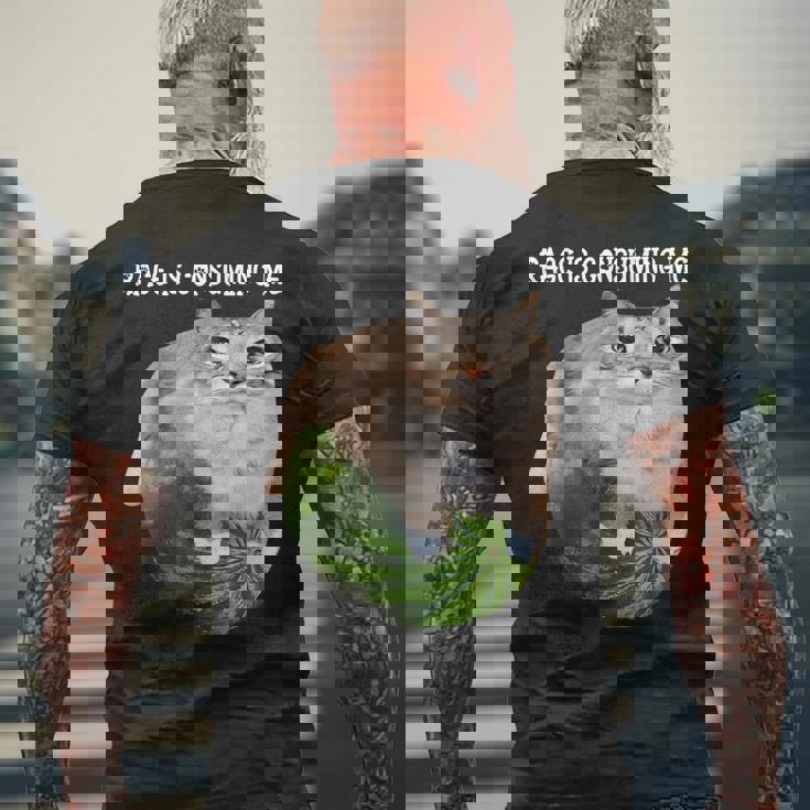 Rage Is Consuming Me Meme Cat Meme Oddly Specific Memes Joke Men's T ...