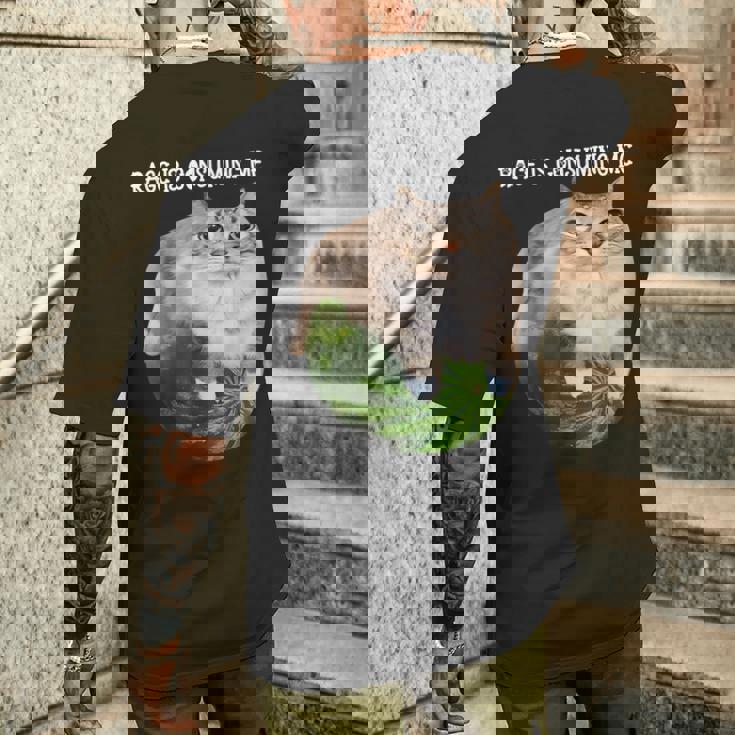 Rage Is Consuming Me Meme Cat Meme Oddly Specific Memes Joke Men's T ...