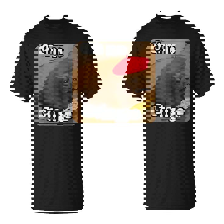 Oh No Cringe Cat French Baguette Tshirt Internet Cat Meme T-Shirt ...