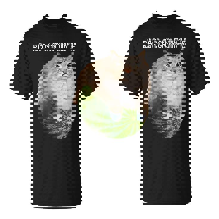 Rage Is Consuming Me Meme Cat Meme Oddly Specific Memes Joke Men's T ...